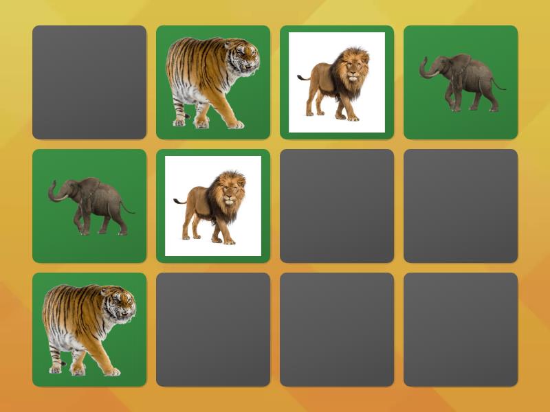 Wild animals - Matching pairs