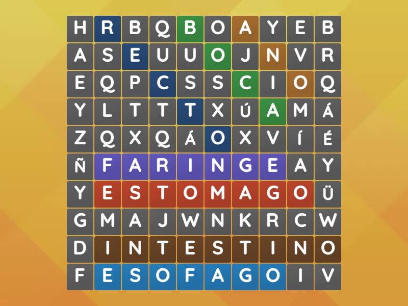 organos del sistema digestivo - Sopa de letras
