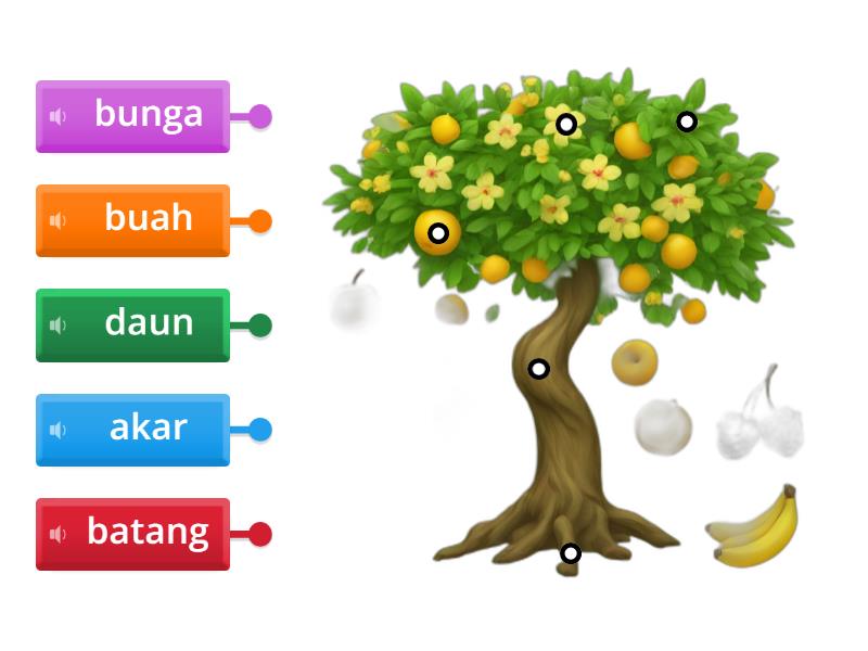 Bahagian Pokok Versi 2 - Labelled diagram