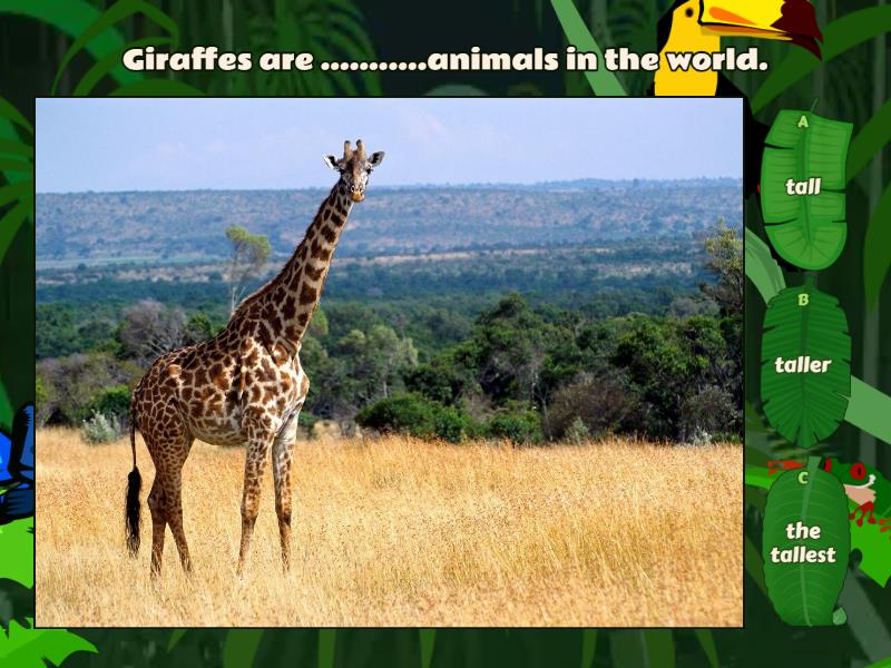 Comparatives and Superlatives (zoo animals) - Quiz