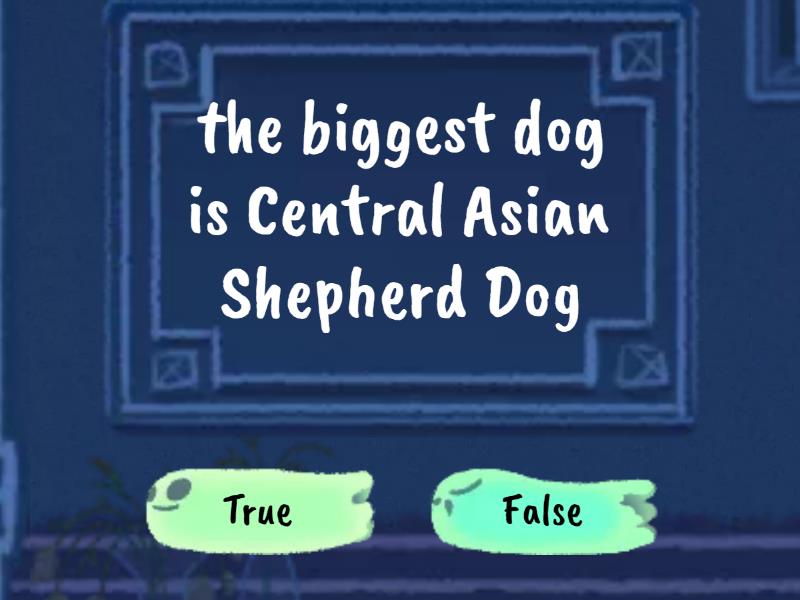 true or false dog breeds - Verdadeiro ou falso