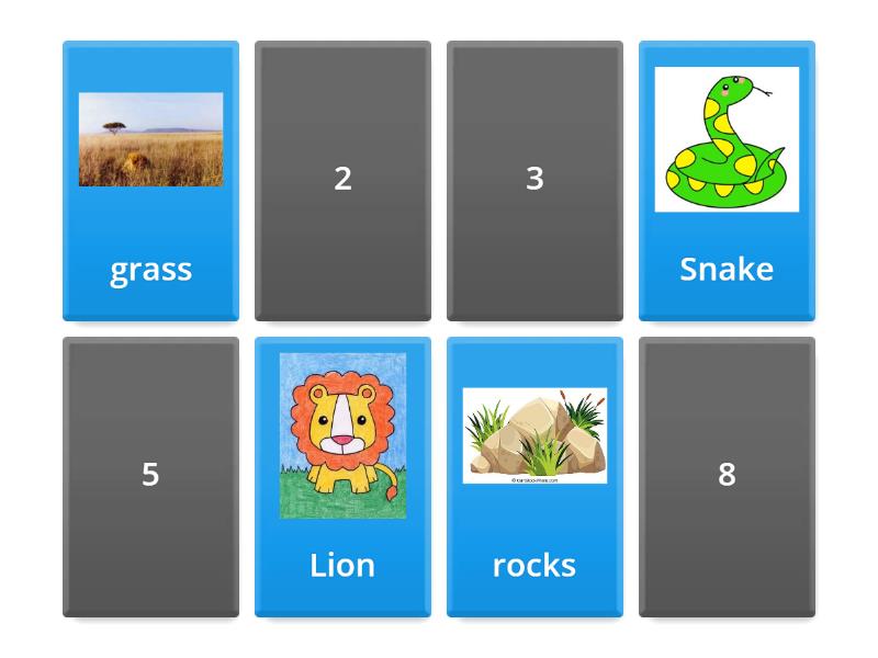 Animals Habitats - Matching pairs