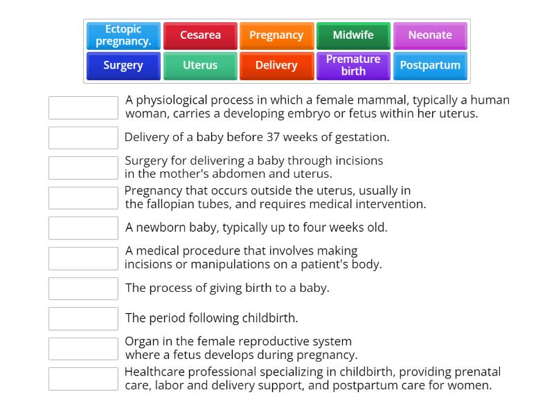 Vocabulary Pregnancy - Match up