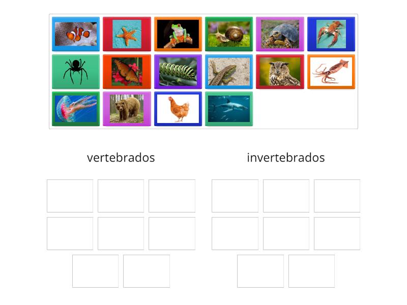 vertebrados o invertebrados?? - Group sort