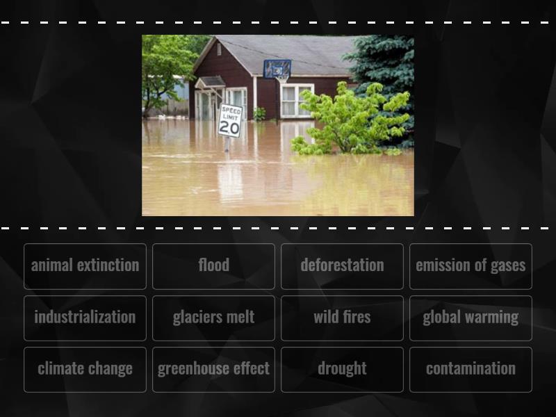 Environmental problems - Cada oveja con su pareja