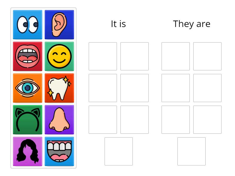 Body parts plurals - Group sort