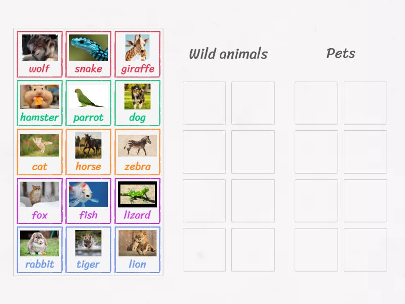 Animals - Group sort