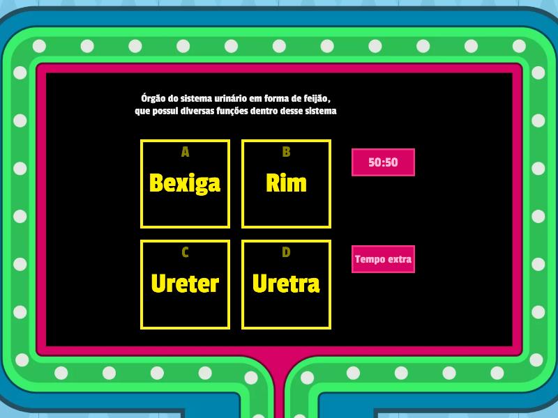 Sistema urinário 8° ano - Gameshow quiz
