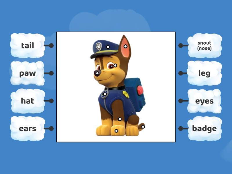 Paw patrol. Body parts - Diagrama con etiquetas