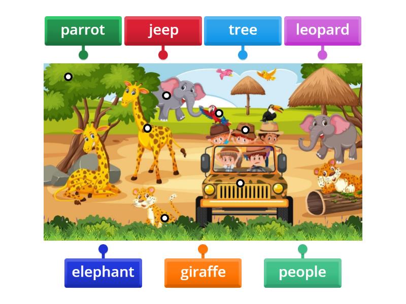zoo - Labelled diagram