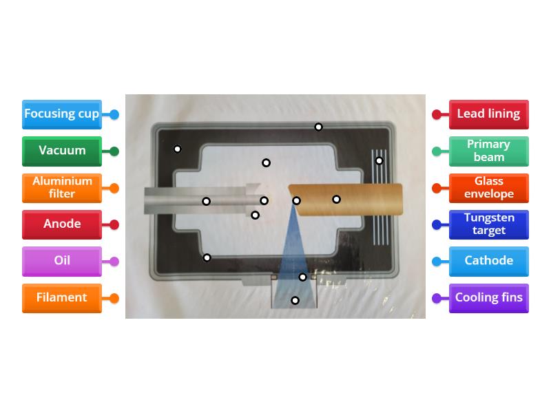X-ray Tube Head - Labelled diagram