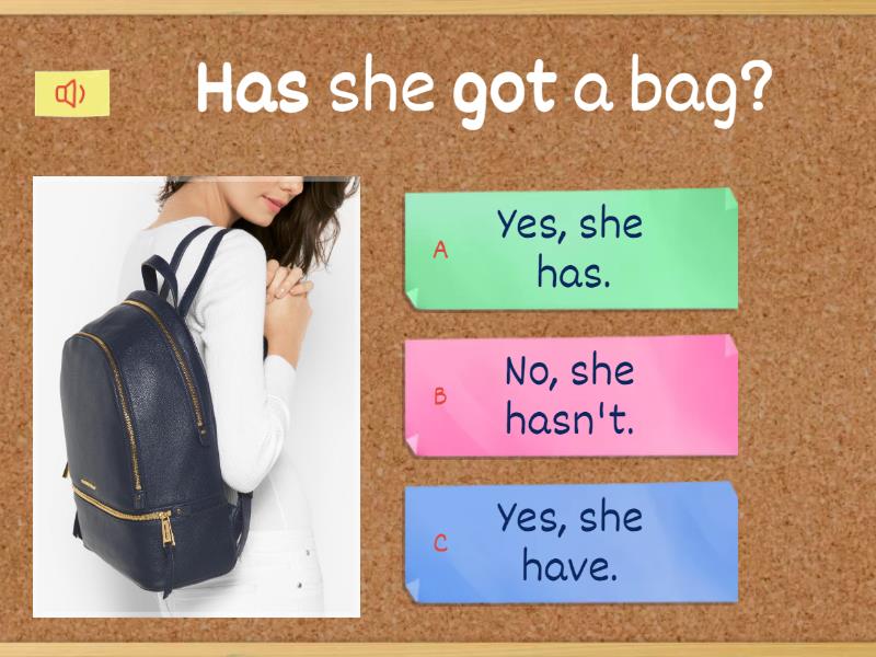 Have got / Has got questions - Quiz