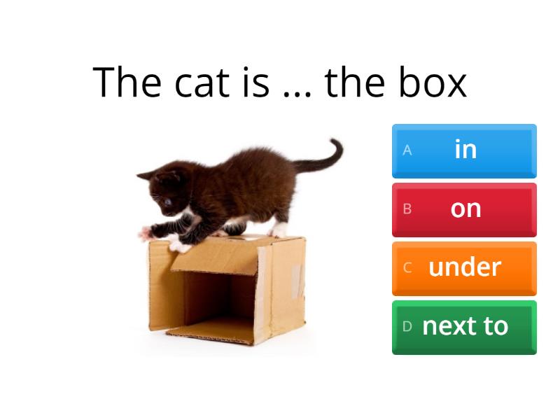 Prepositions of place: on, in, under, next to, in front of, behind ...