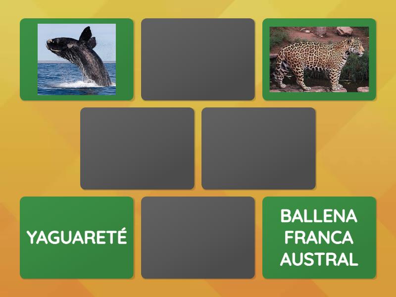 MEMORY 1° - Parejas