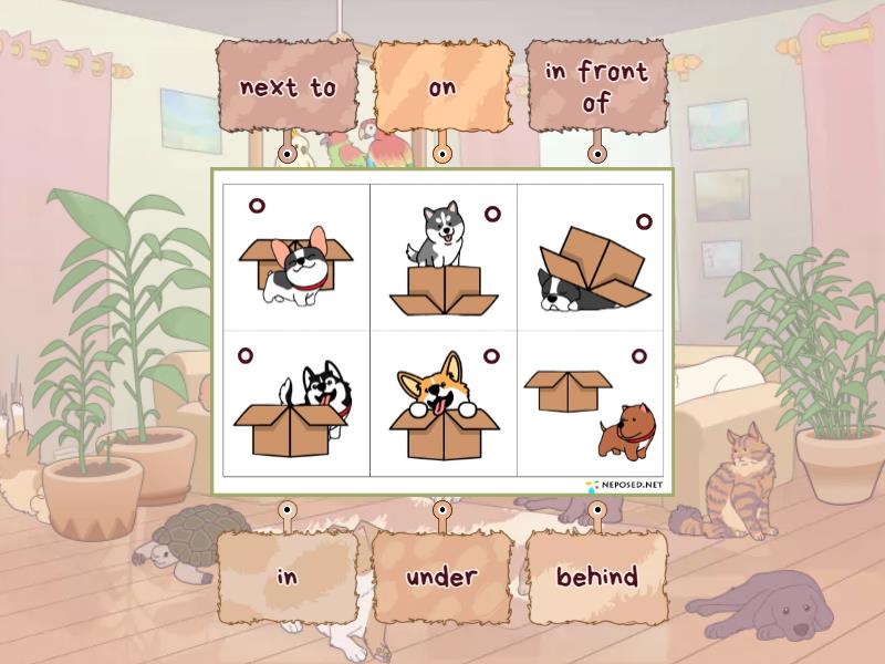 Prepositions in, on, under, behind, in front of, next to - Labelled diagram