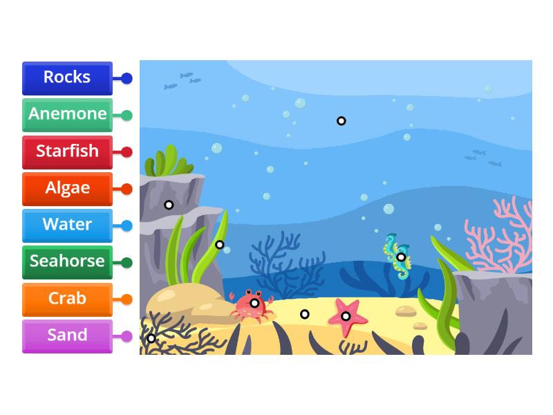 Ocean Diagram - Labelled diagram