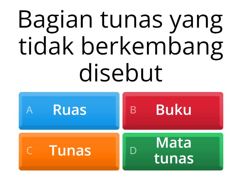Kuis Batang - Quiz