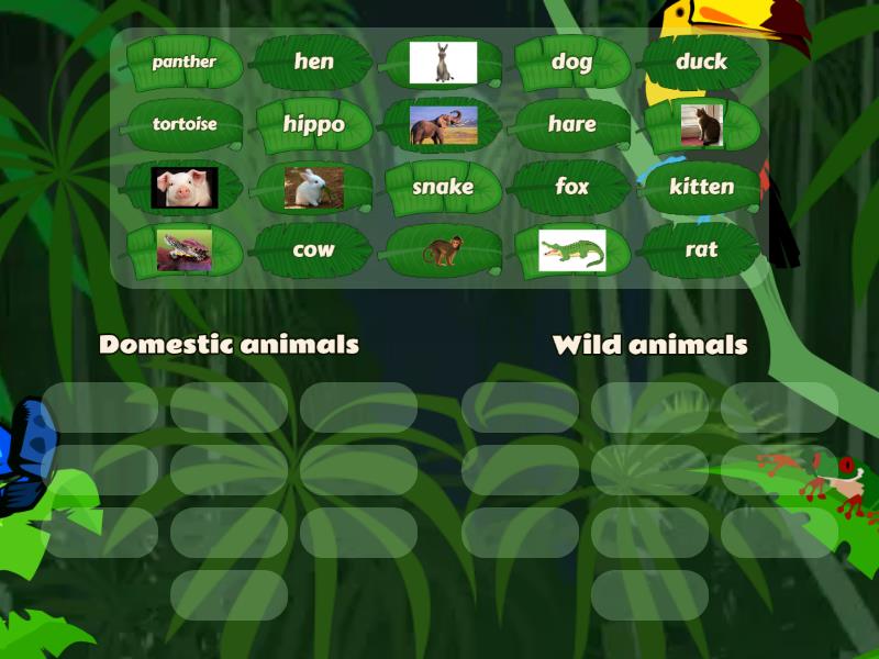 Animals - Group sort