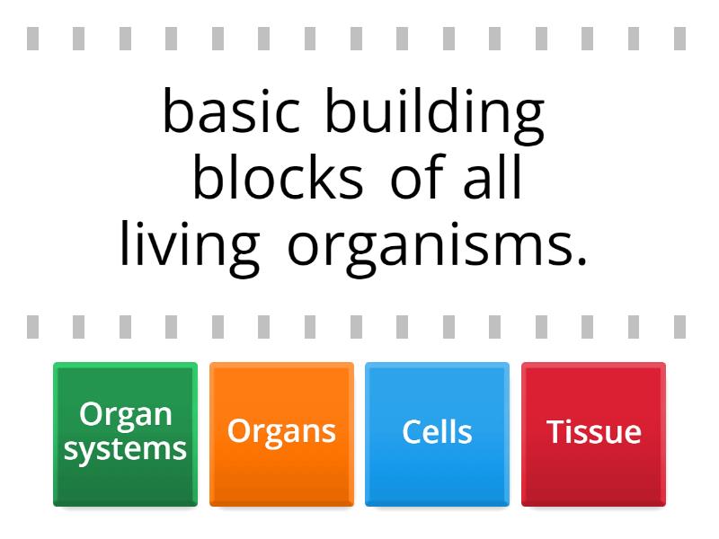 Find match - Cell, tissue, organ and organ system AQA Combined GCSE ...