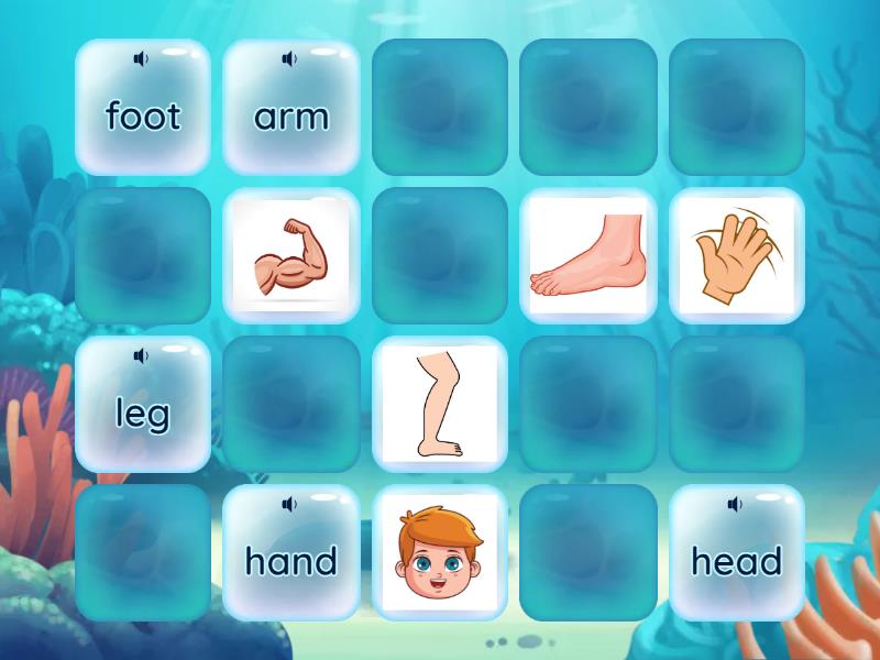 My Body - Matching pairs