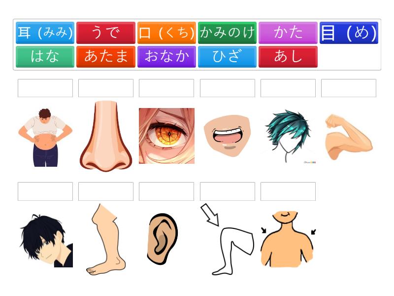 BODY PARTS - JAPANESE - Match up
