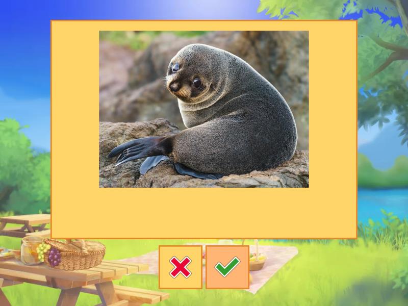 Unit 8 (Animals) - Part 1 - Flash cards