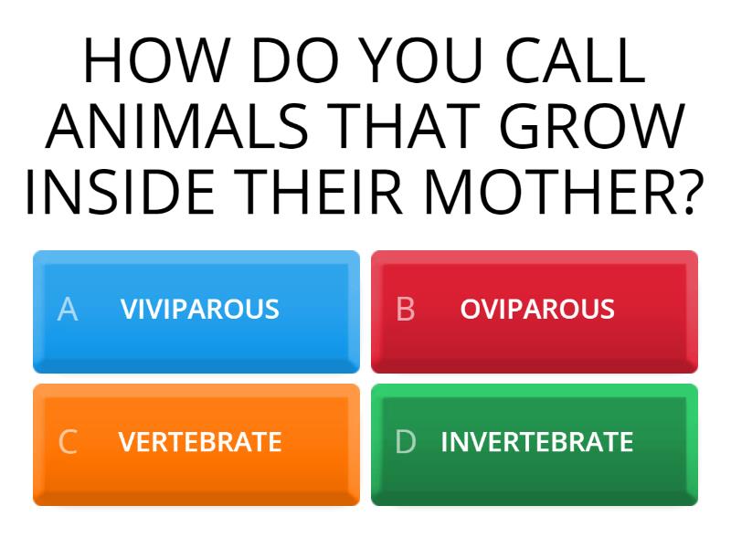 VERTEBRATES AND INVERTEBRATES - Quiz