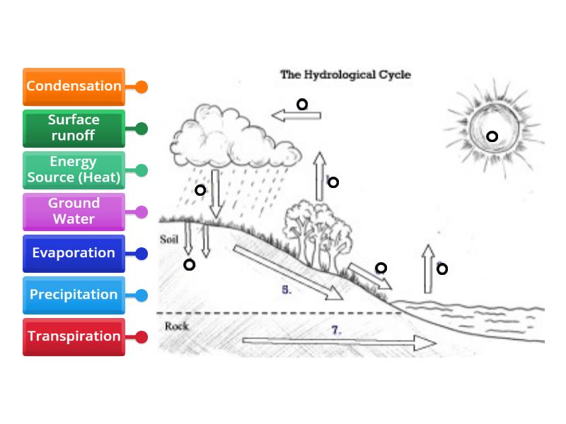 The Water Cycle: Label the Diagram - Labelled diagram