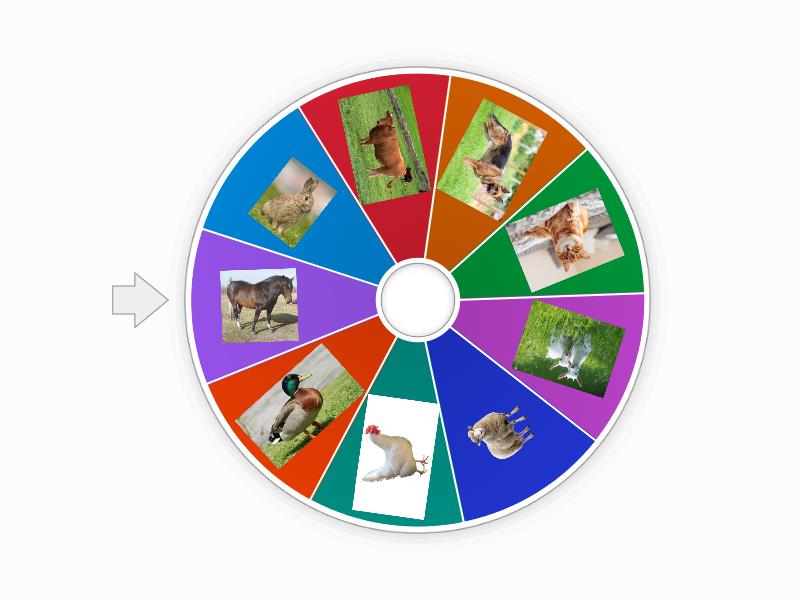 Animals - Spin the wheel
