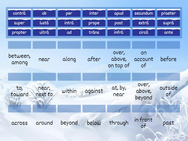 Latin Accusative Prepositions - Match up