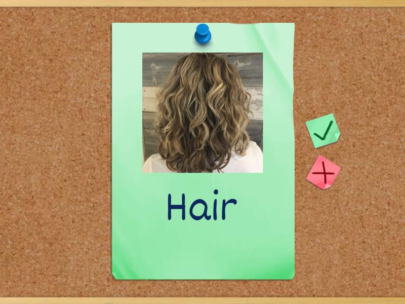 Parts of the body - Flash cards