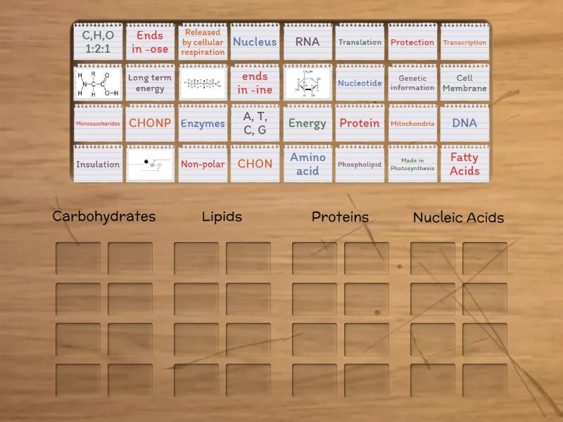 AP Preview Macromolecules - Group sort