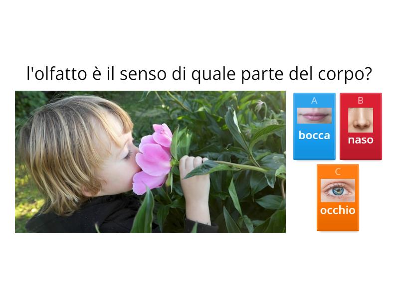 le parti del corpo e i 5 sensi - Quiz