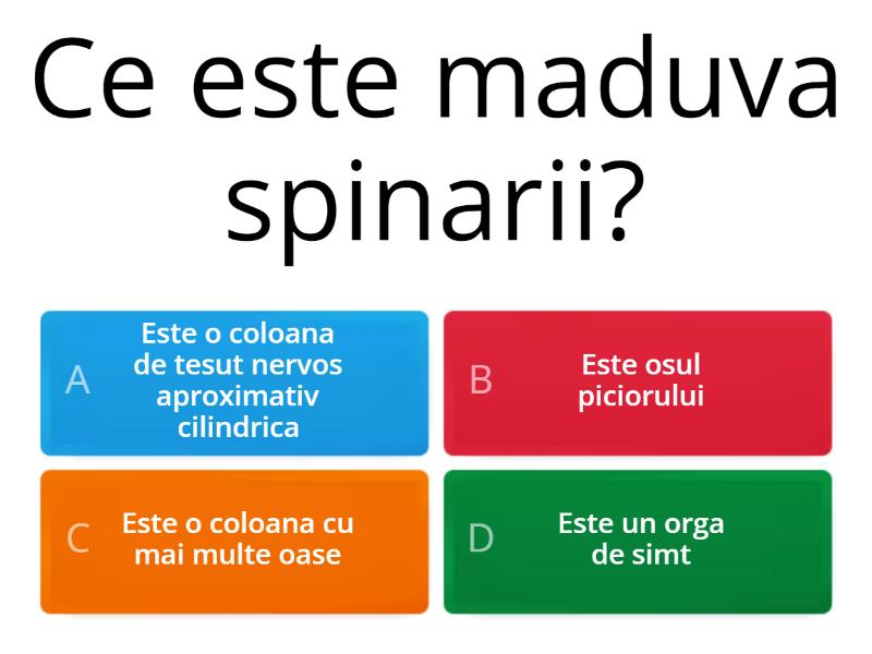 Test maduva spinarii, manual clasa a VII a Biologie - Quiz