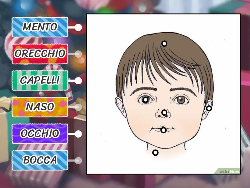 LE PARTI DEL VISO - Diagrama con etiquetas