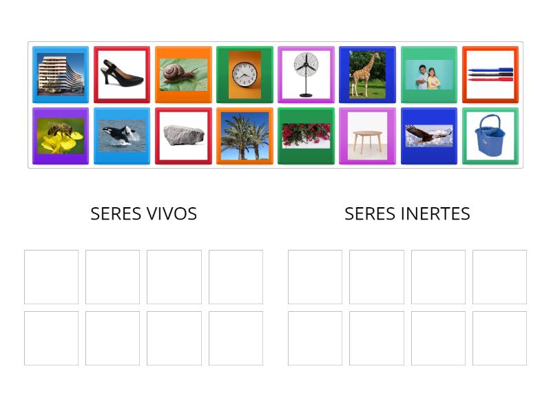 SERES VIVOS- SERES INERTES - Ordenar por grupo