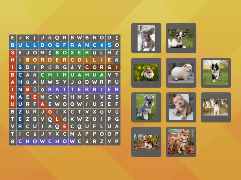 RAZAS DE PERROS - Sopa de letras
