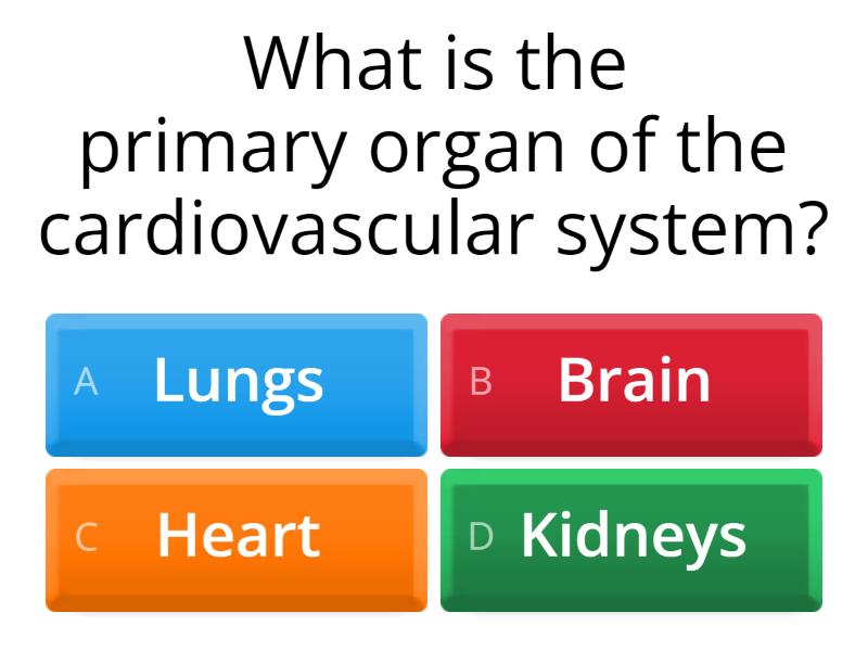 , The cardiovascular&Blood system - Quiz