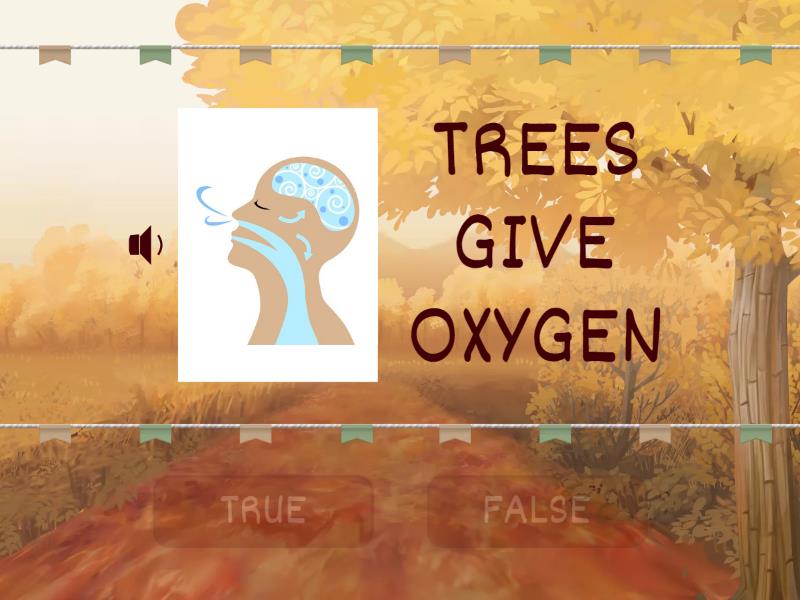 TREES GIVE- TRUE OR FALSE - Verdadero o falso