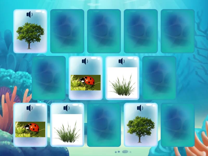 NATURE MEMORY GAME UNIT 8 - Matching pairs