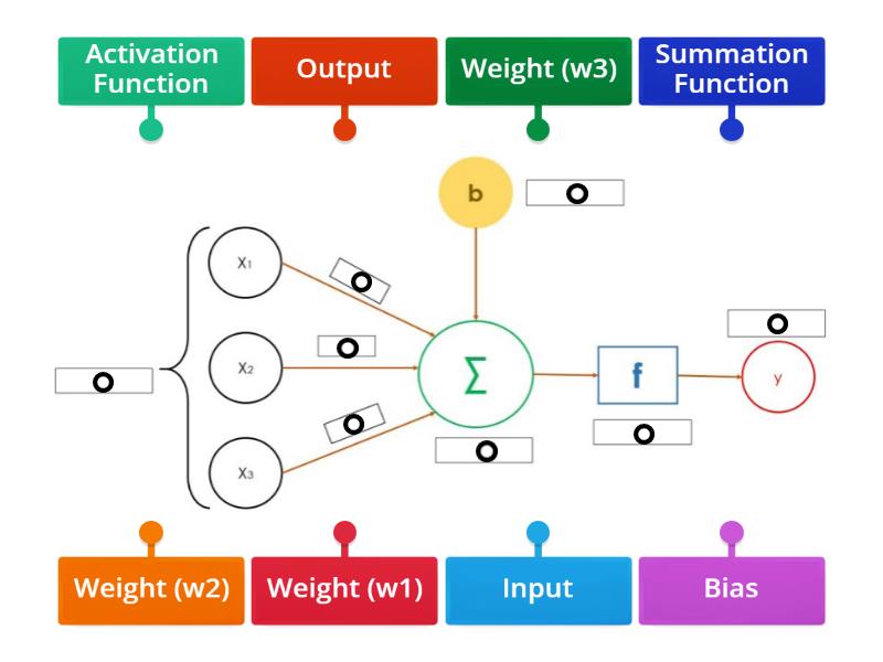 Components of Neural Network - Labelled diagram