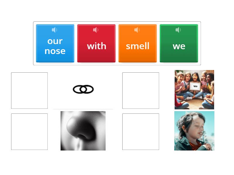 The five Senses (smell) - Match up