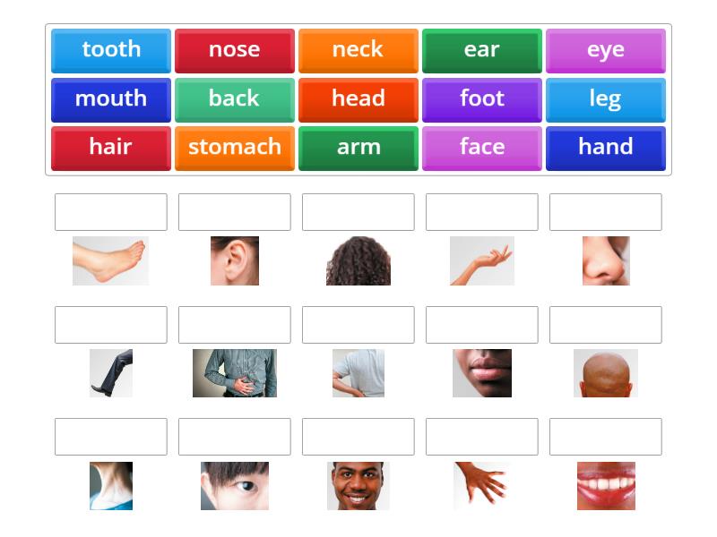 SO A1 Unit 7C Parts of the body - match - Match up