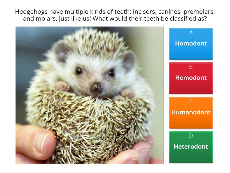 Terminology & nomenclature 1 - Cuestionario