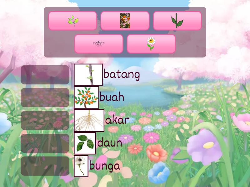 Match Gambar - Match up