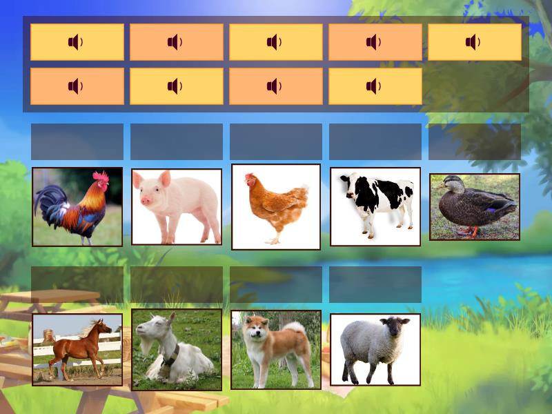Farm Animals - Match up
