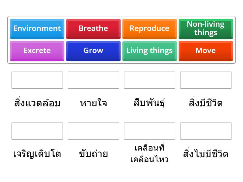 Definition - Match up