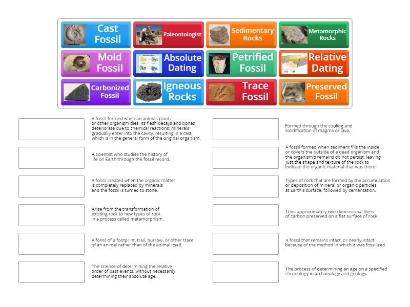 Fossils and Earth's History - Match up
