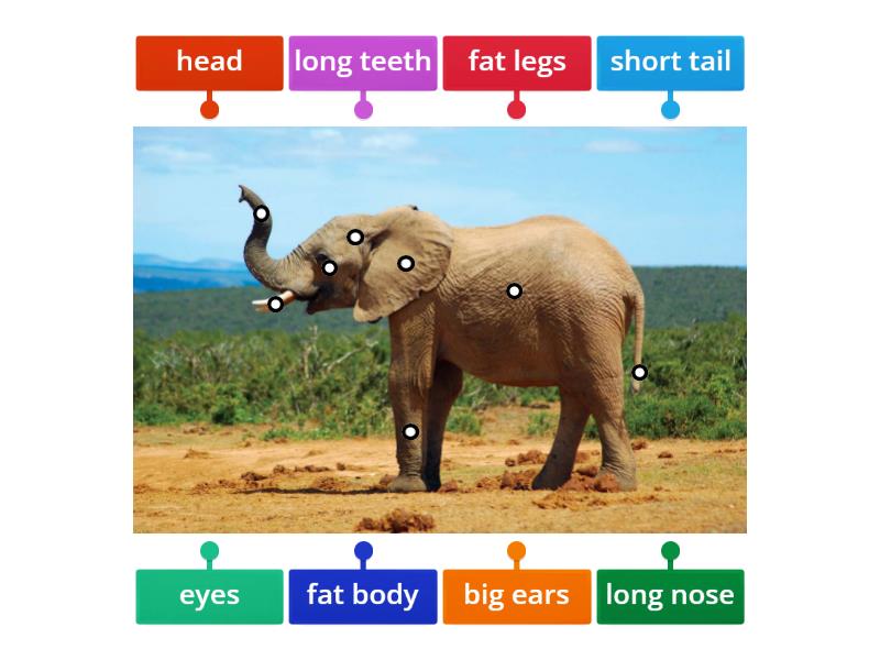 Spotlight 3 Module 5 (9a) - Labelled diagram