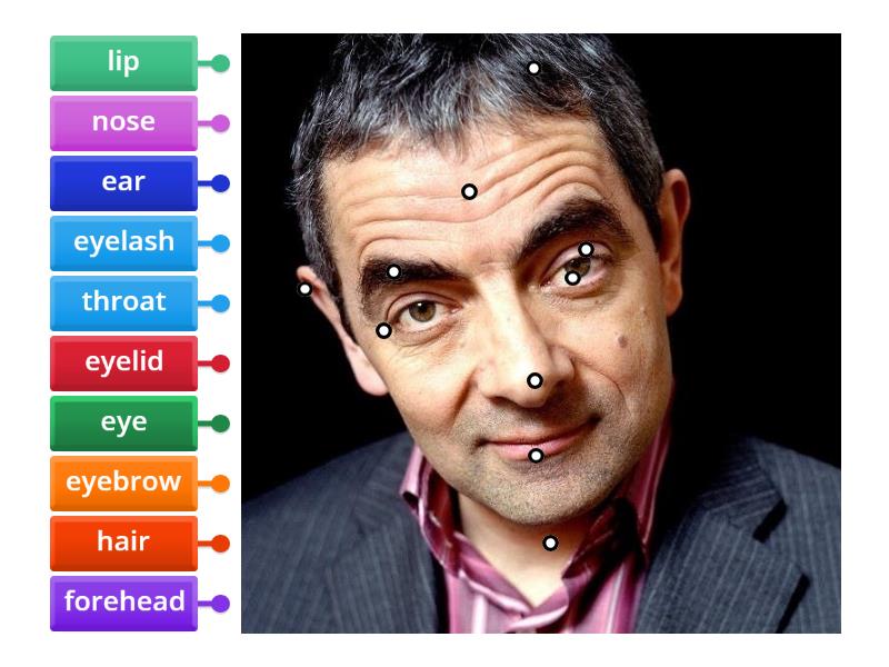 Head -neck - Labelled diagram